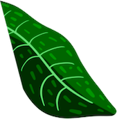 The ultimate guide to QA scoring - evaluagent